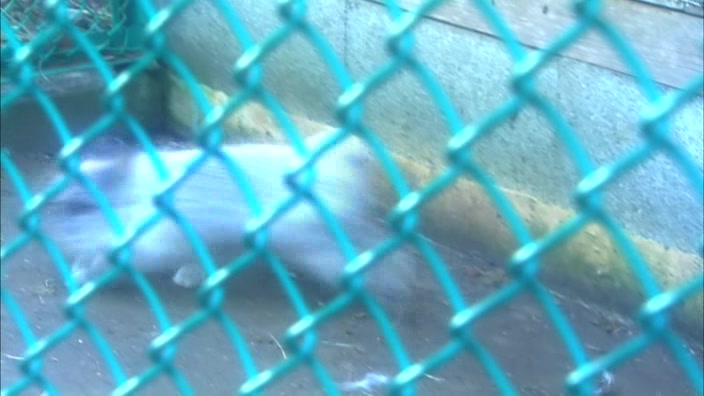 절대영도 1기 미해결사건 특명수사 6화 일드 우에토 아야