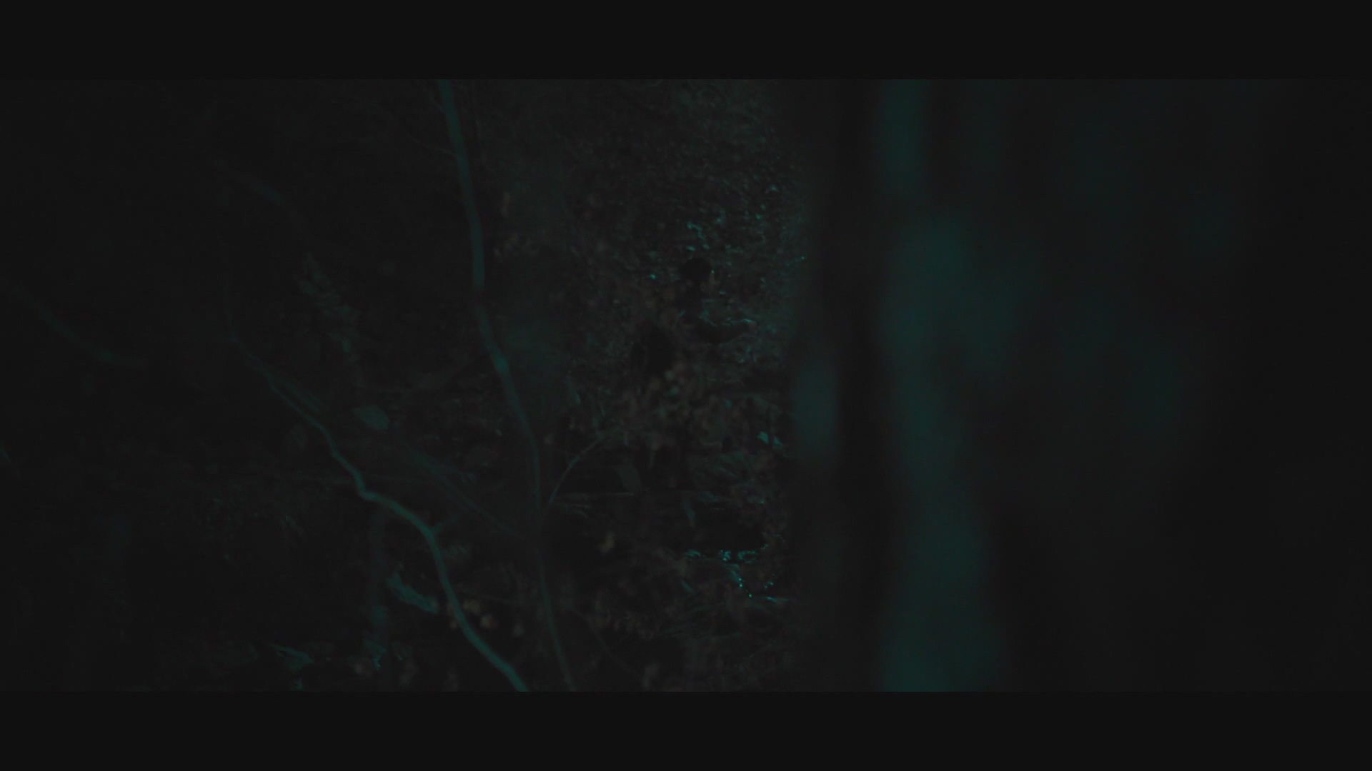 [FHD] 치악산 1080p [ Mount CHIAK 2023 ] 윤균상.김예원.연제욱.배그린.이태환.김선웅감독.치악산2023 ...