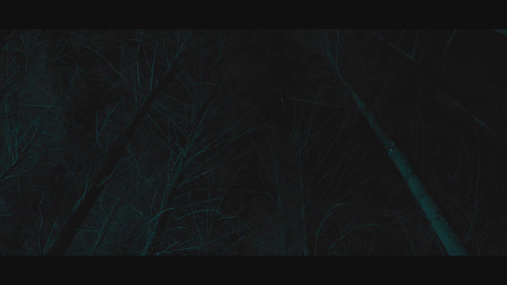 [FHD] 치악산 1080p [ Mount CHIAK 2023 ] 윤균상.김예원.연제욱.배그린.이태환.김선웅감독.치악산2023 ...