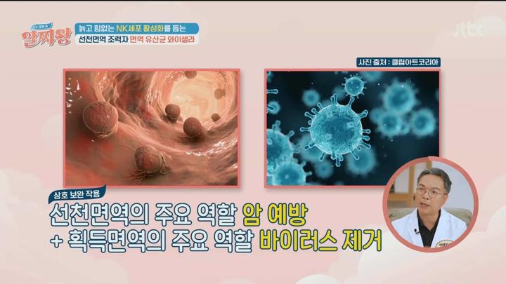 알짜왕 E372 240606 1080p WANNA - 파일쿠키 등록정보