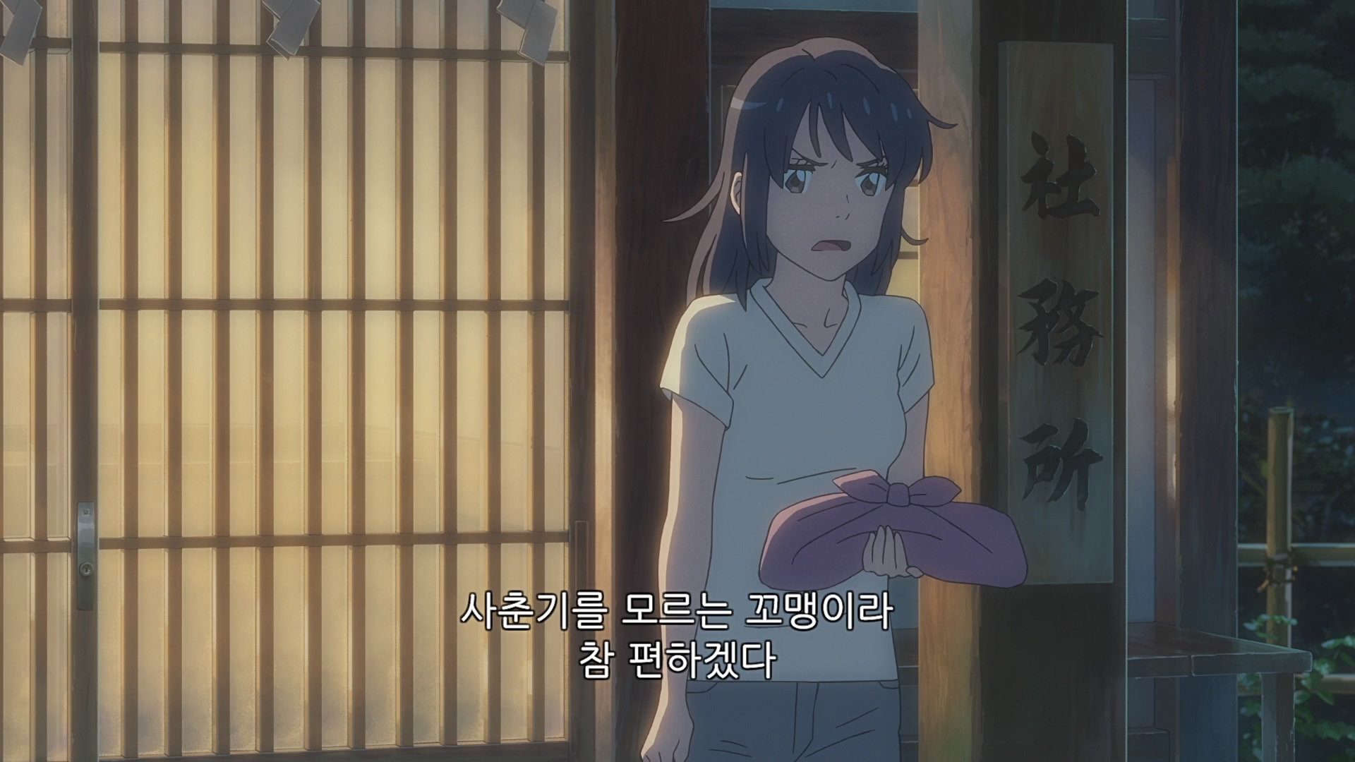 [ 너의 이름은 2017 Hd1080p ] 자체한글자막 Your Name 산카이 마코토 감독 너의이름은