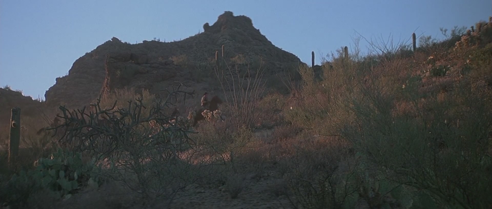 찰턴 헤스턴. 제임스 코번의 서부영화 [리벤지 게임 The Last Hard Men]